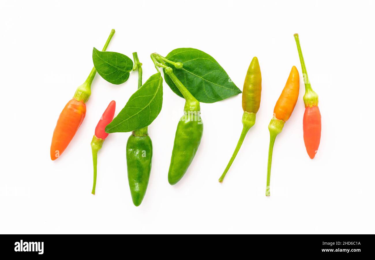 Fresh Thai bird's eye chillies isolated on white background Stock Photo ...