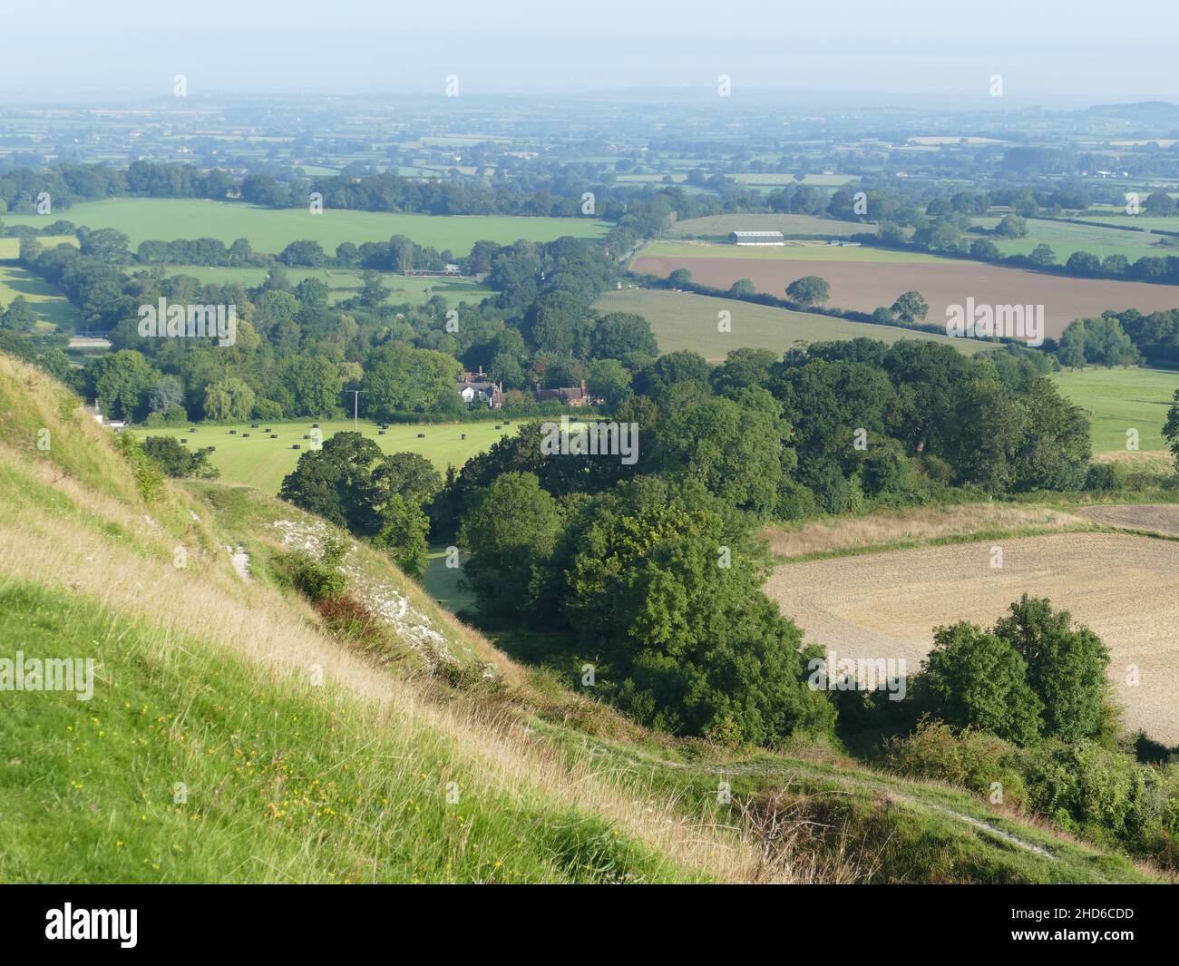 Durotridge hi-res stock photography and images - Alamy