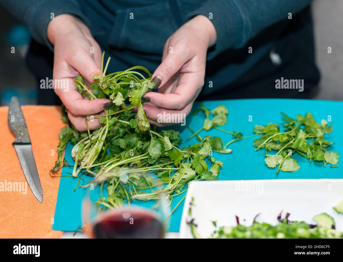 Female hands sorting wilted parsley while preparing a salad, shallow ...