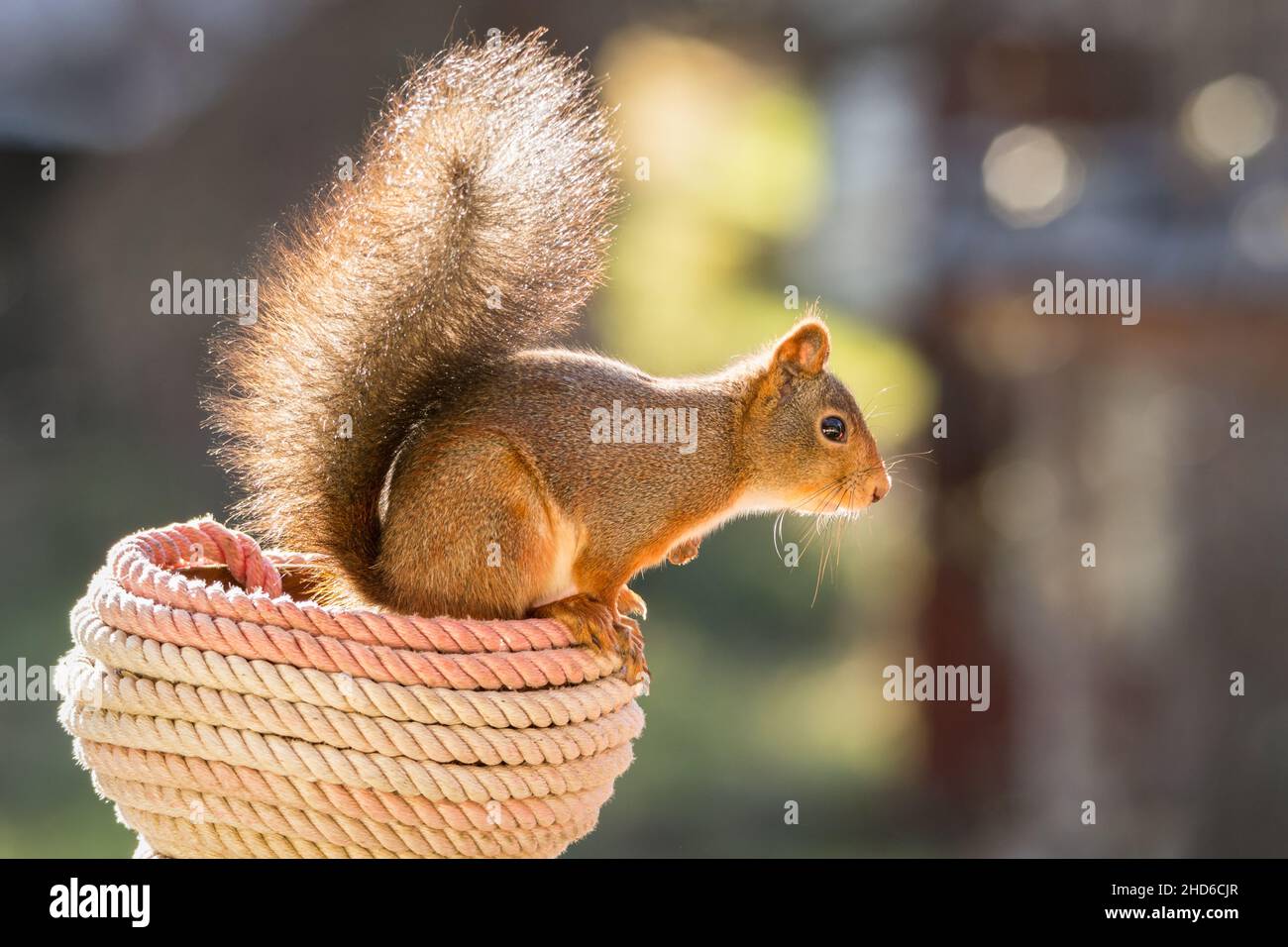 Rope in a spiral hi-res stock photography and images - Alamy