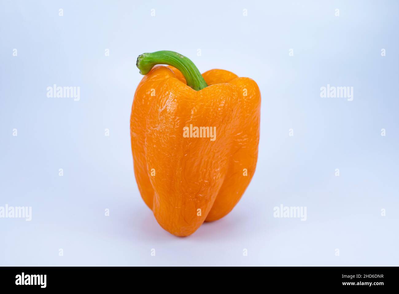 Old wrinkled bell pepper in a vertical position on white background ...
