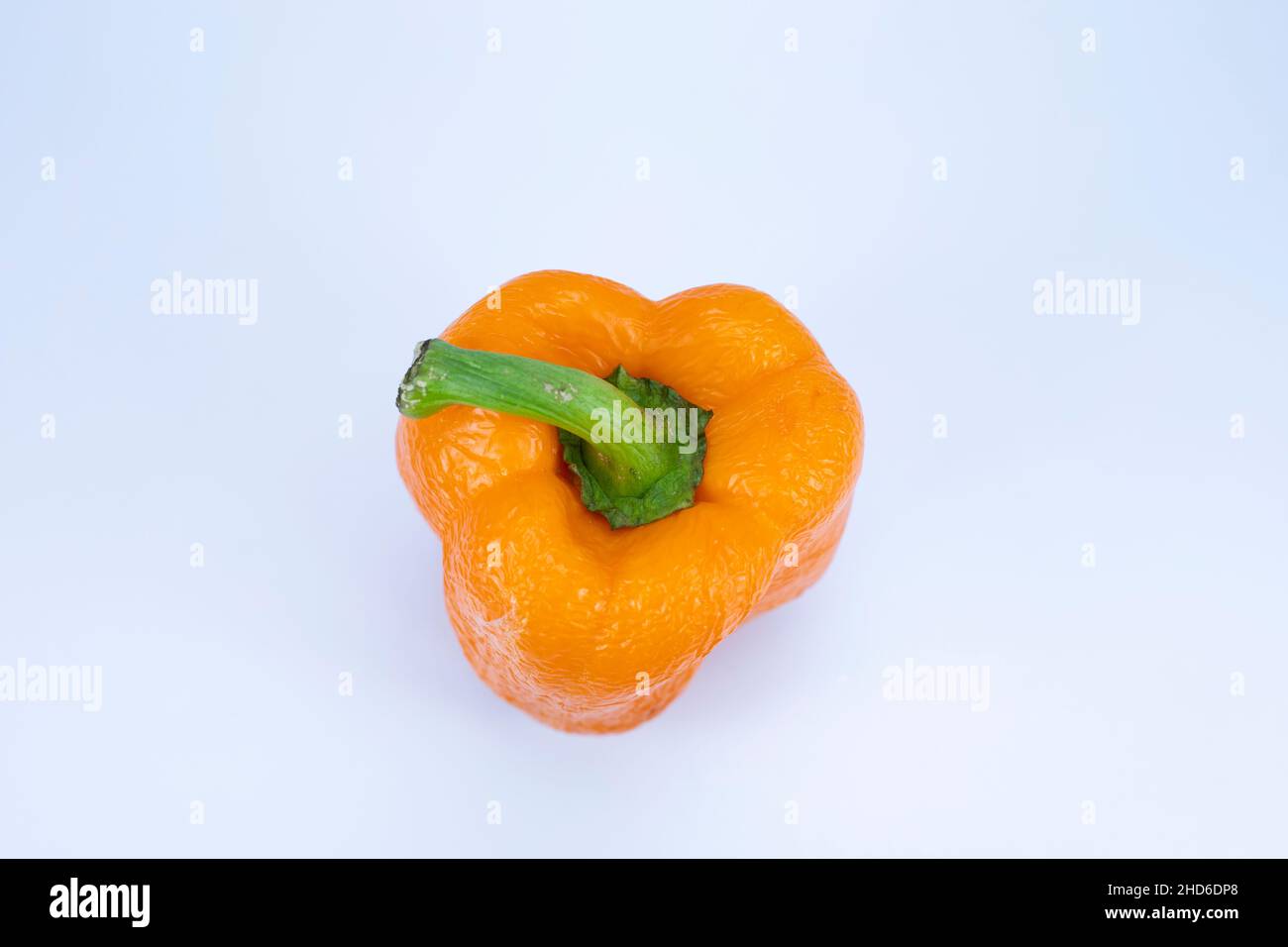 Old wrinkled bell pepper in a vertical position on white background top ...