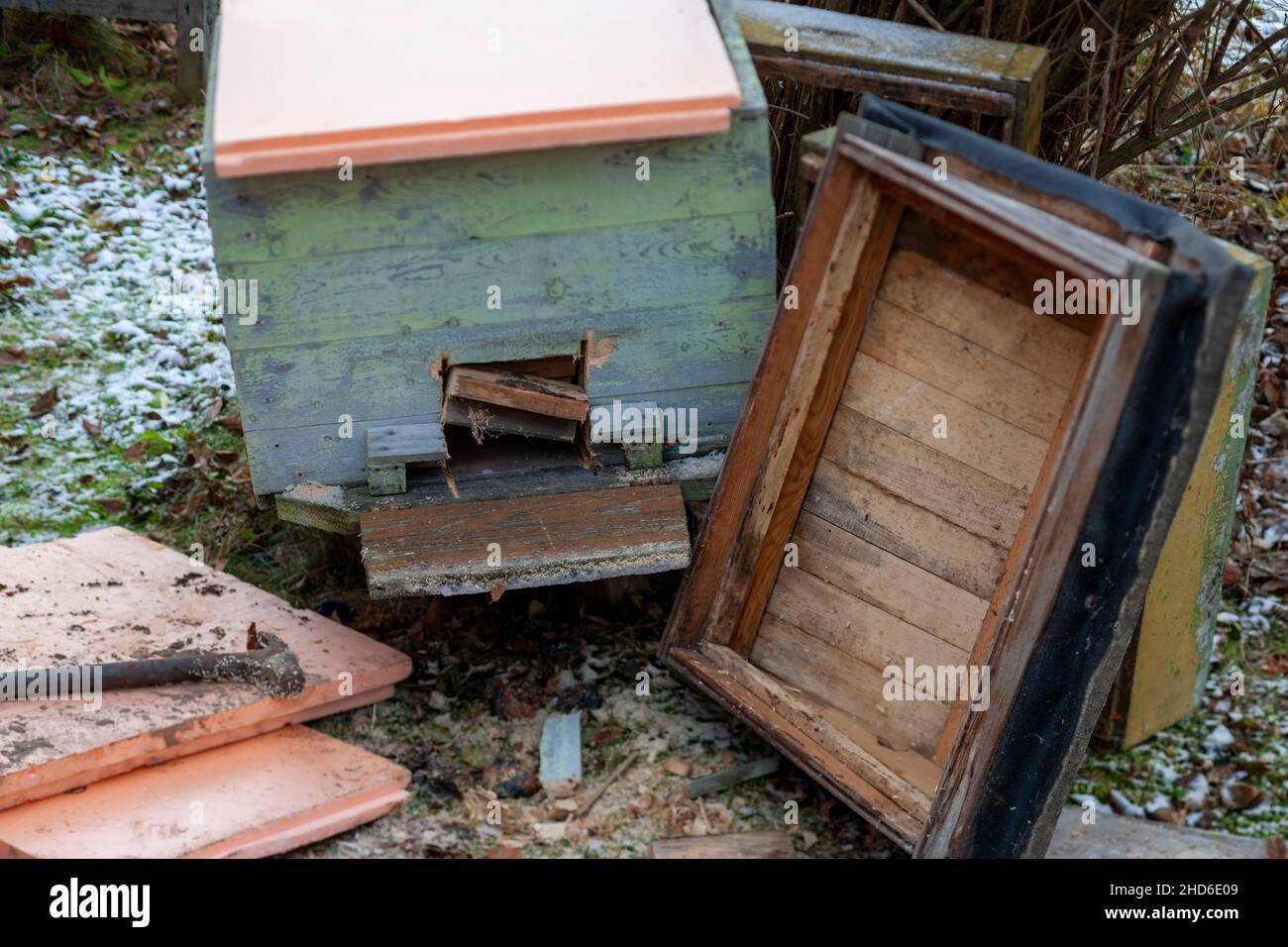 warming a beehive with insulation panels in a garden, winter scene ...