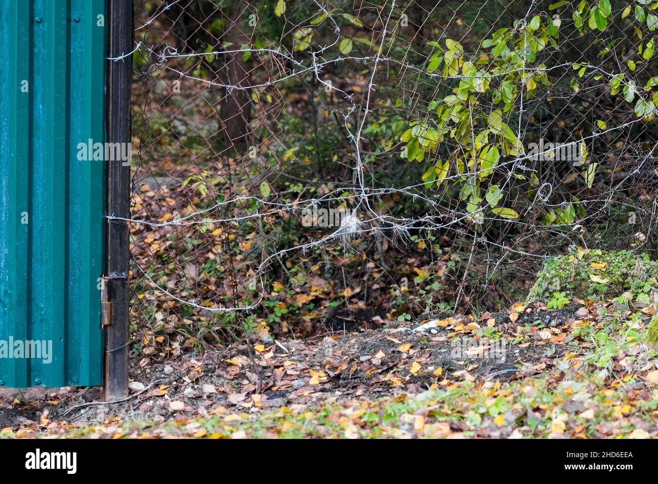 Torn wire mesh hi-res stock photography and images - Alamy