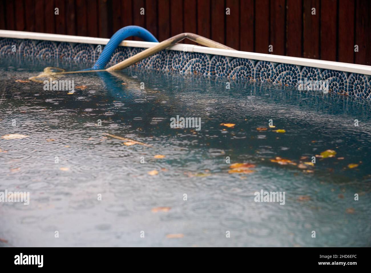 Dirt in above ground swimming pool, autumn rainy day scene Stock Photo ...