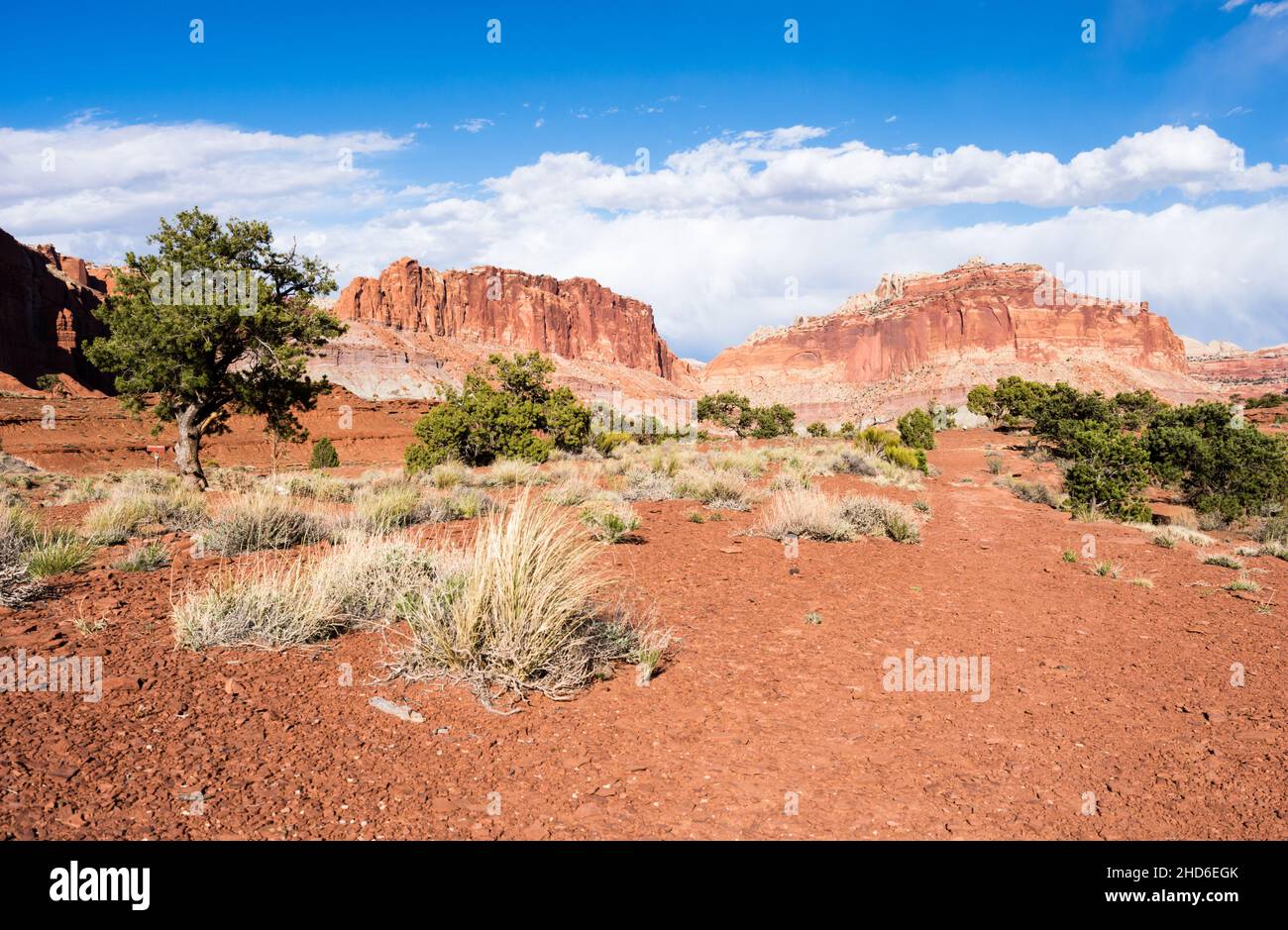 View from Panorama Point lookout at Capitol Reef National Park - Utah ...