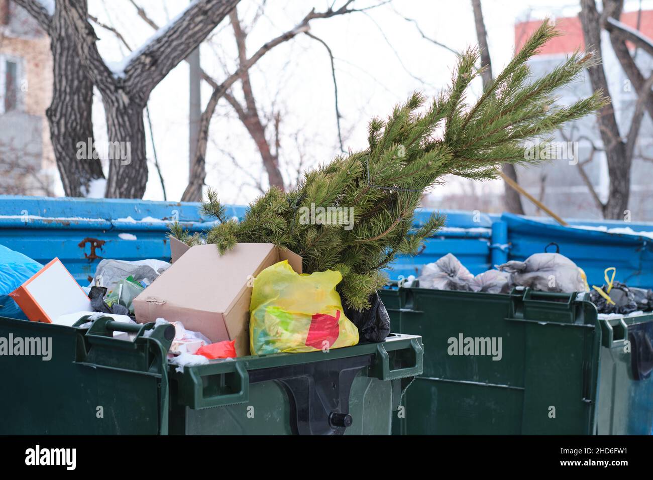 Christmas tree is thrown into trash can.The end of the Christmas and ...