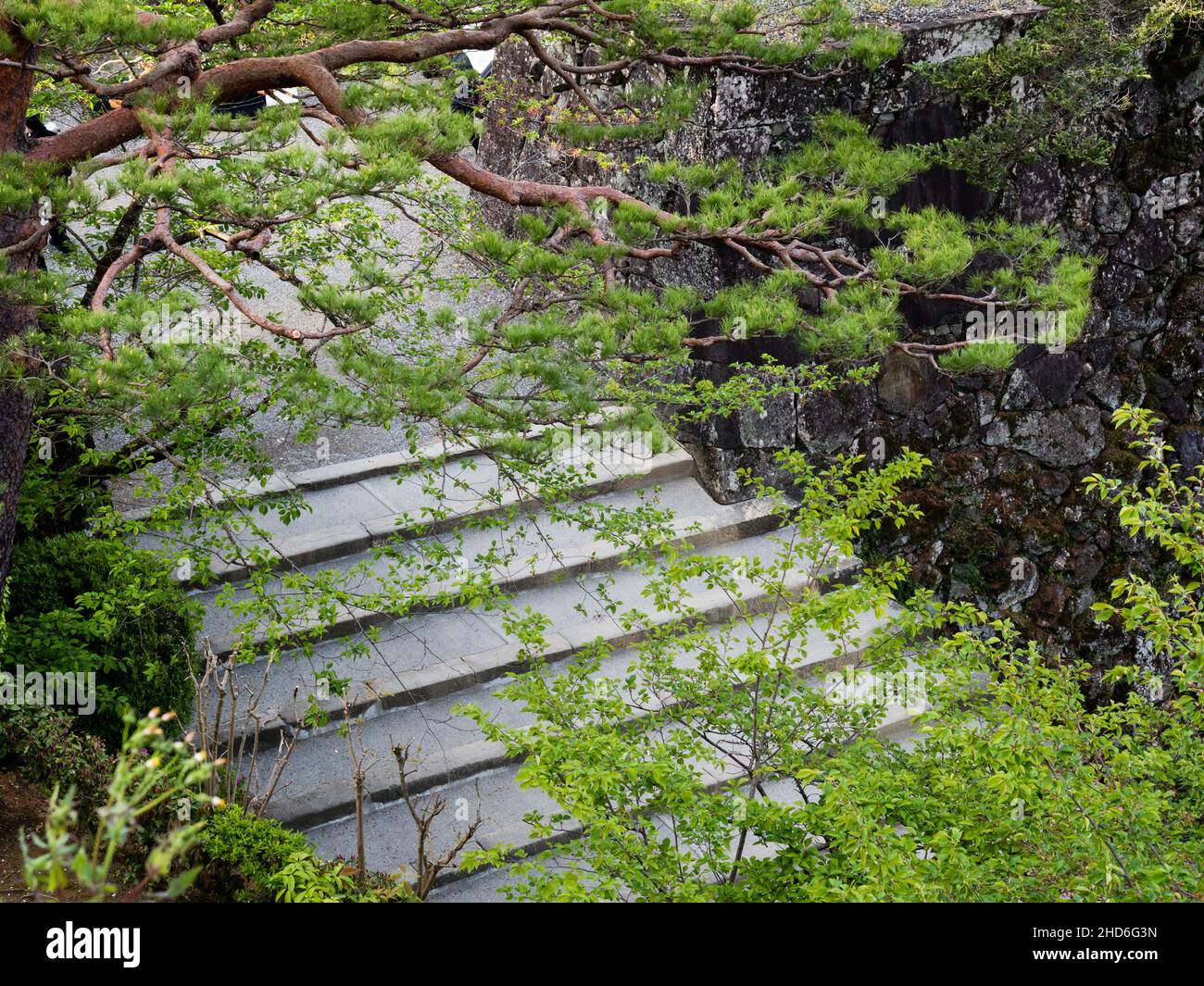 Stone steps leading to Kochi castle, one of the 12 original Edo period ...