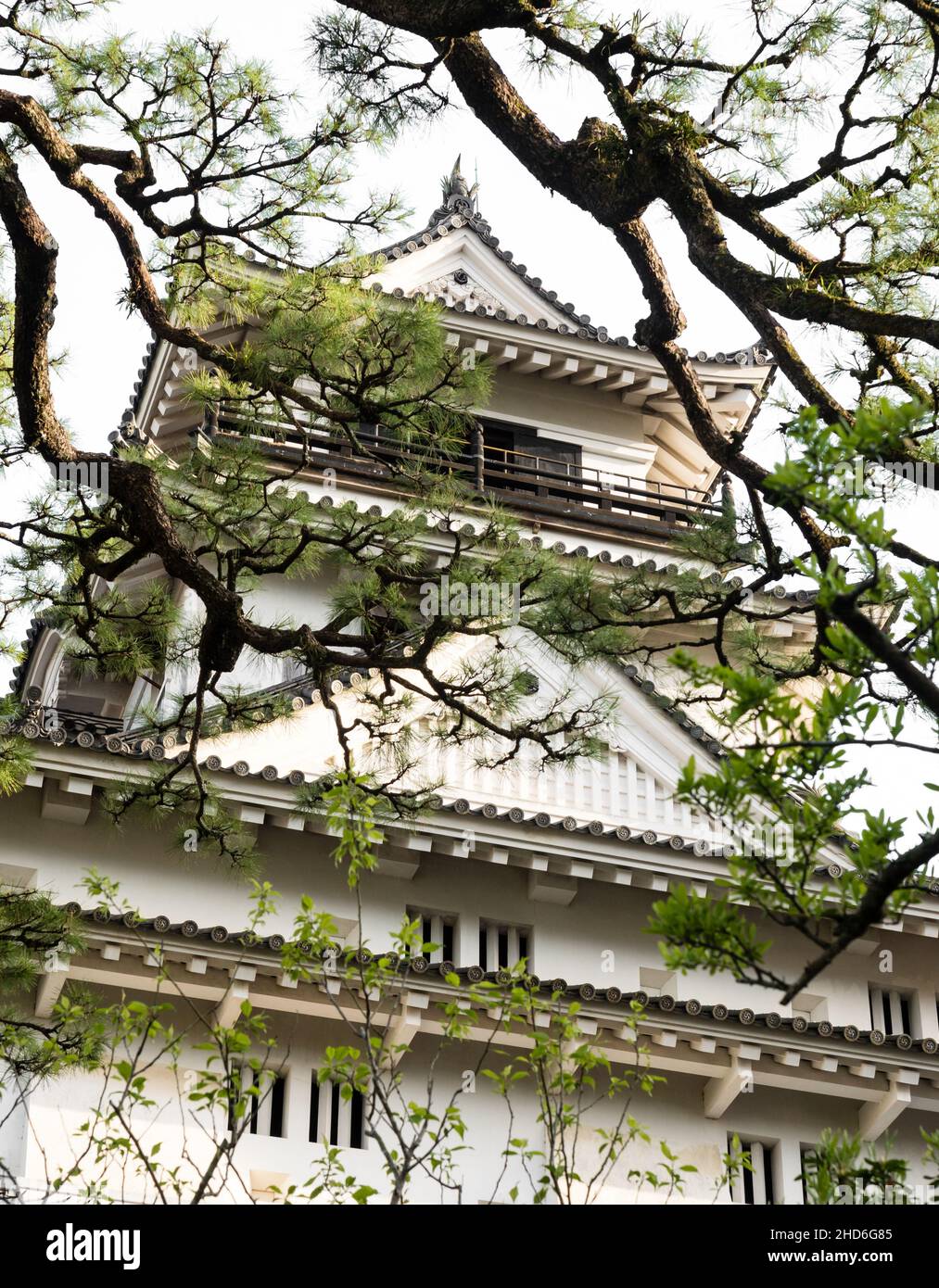 Kochi, Japan - April 7, 2018: Pine trees and main tower of Kochi castle ...