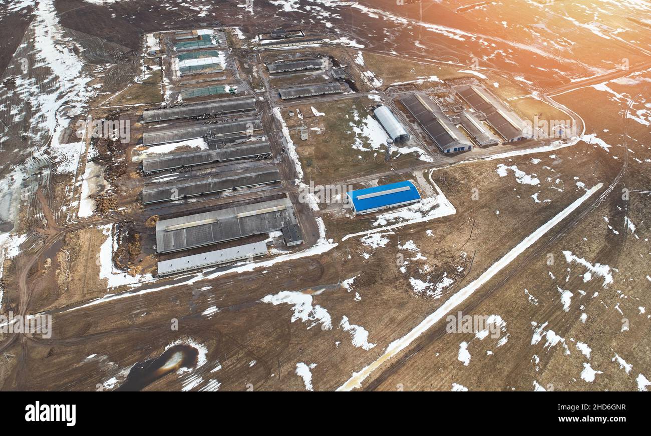 Cow barns in rural area above drone top view Stock Photo - Alamy