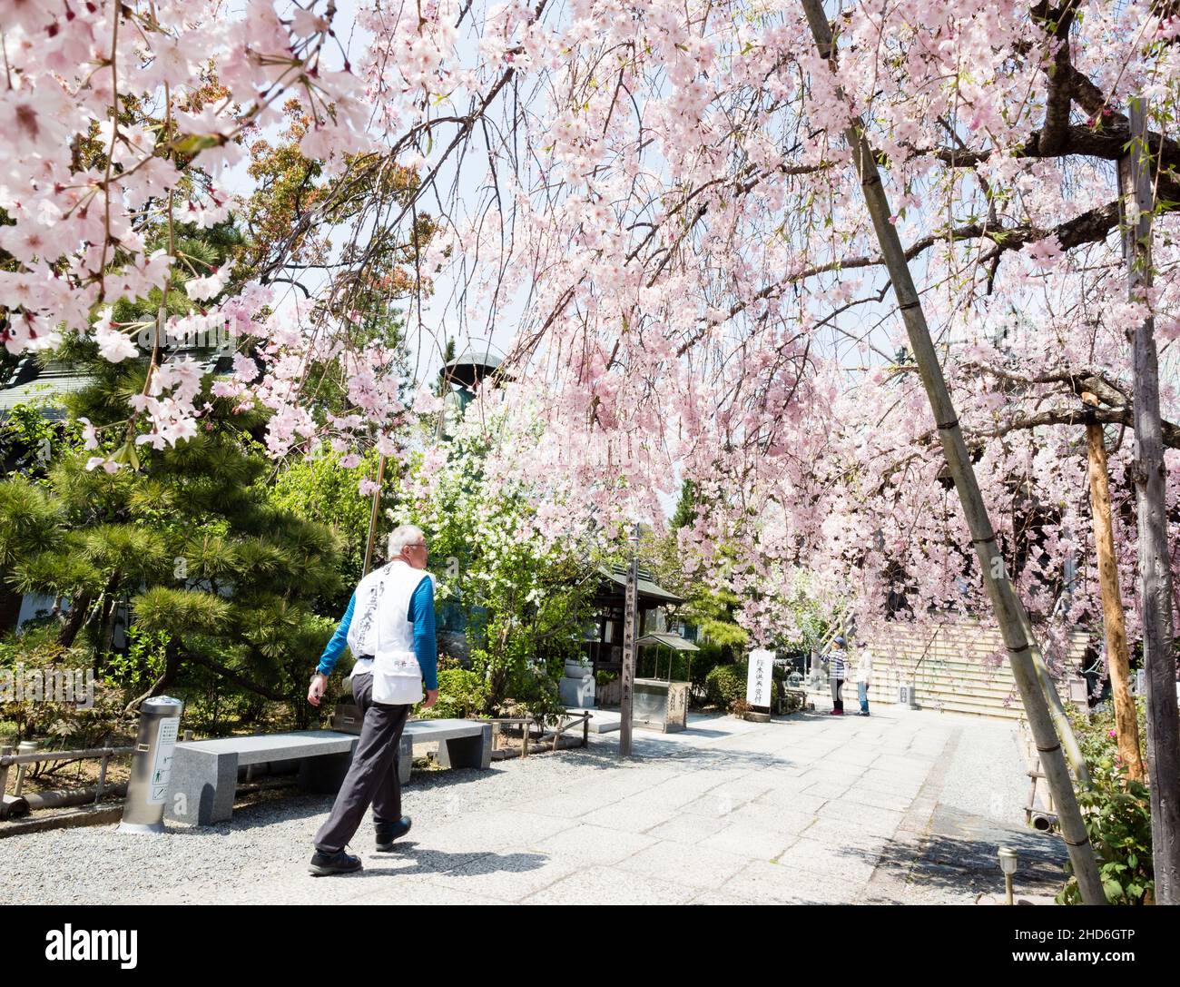 Komatsushima, Japan - April 4, 2018: O-henro pilgrim walking on the ...