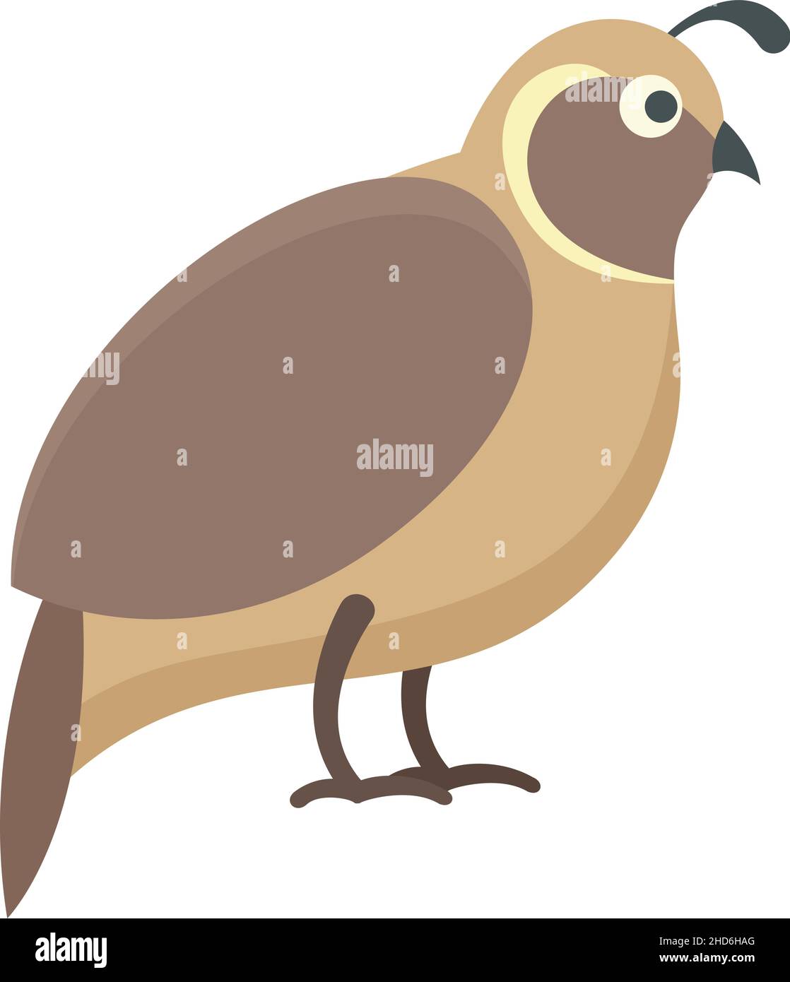 Quail icon. Flat illustration of quail vector icon isolated on white ...