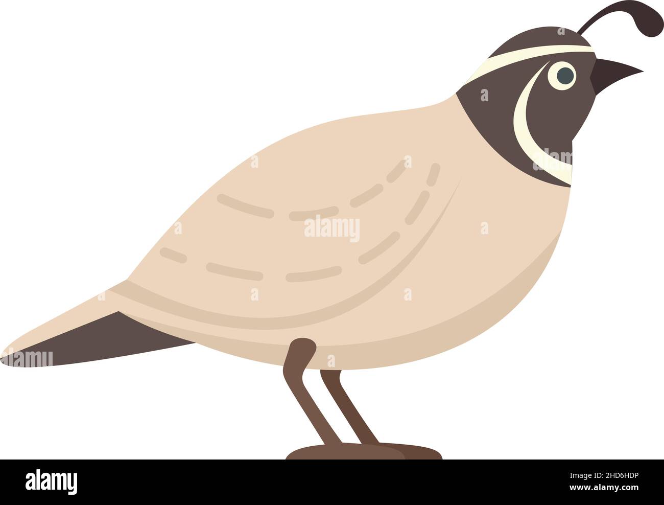 Quail adorable icon. Flat illustration of quail adorable vector icon ...