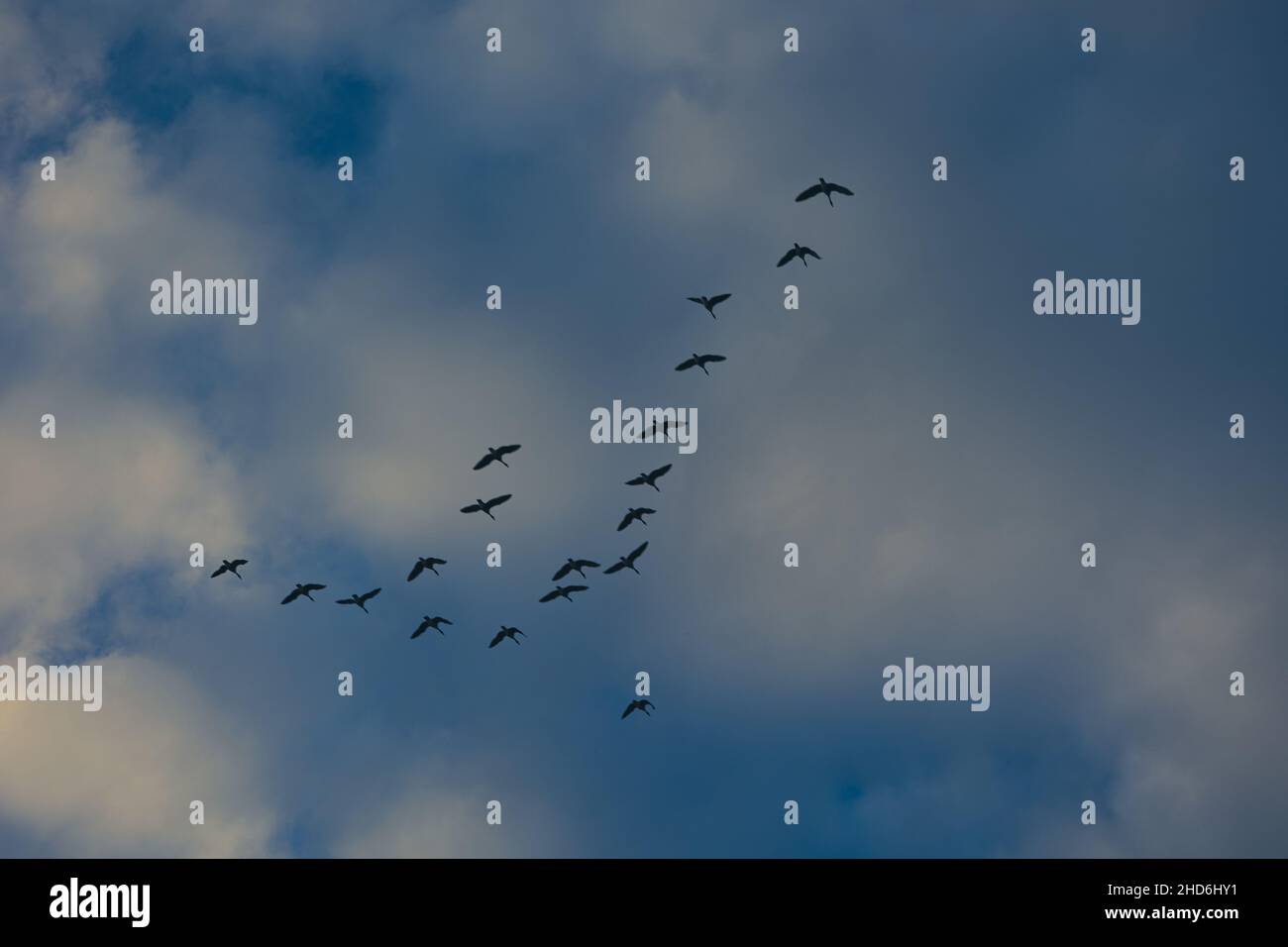 Flying birds eye view hi-res stock photography and images - Alamy