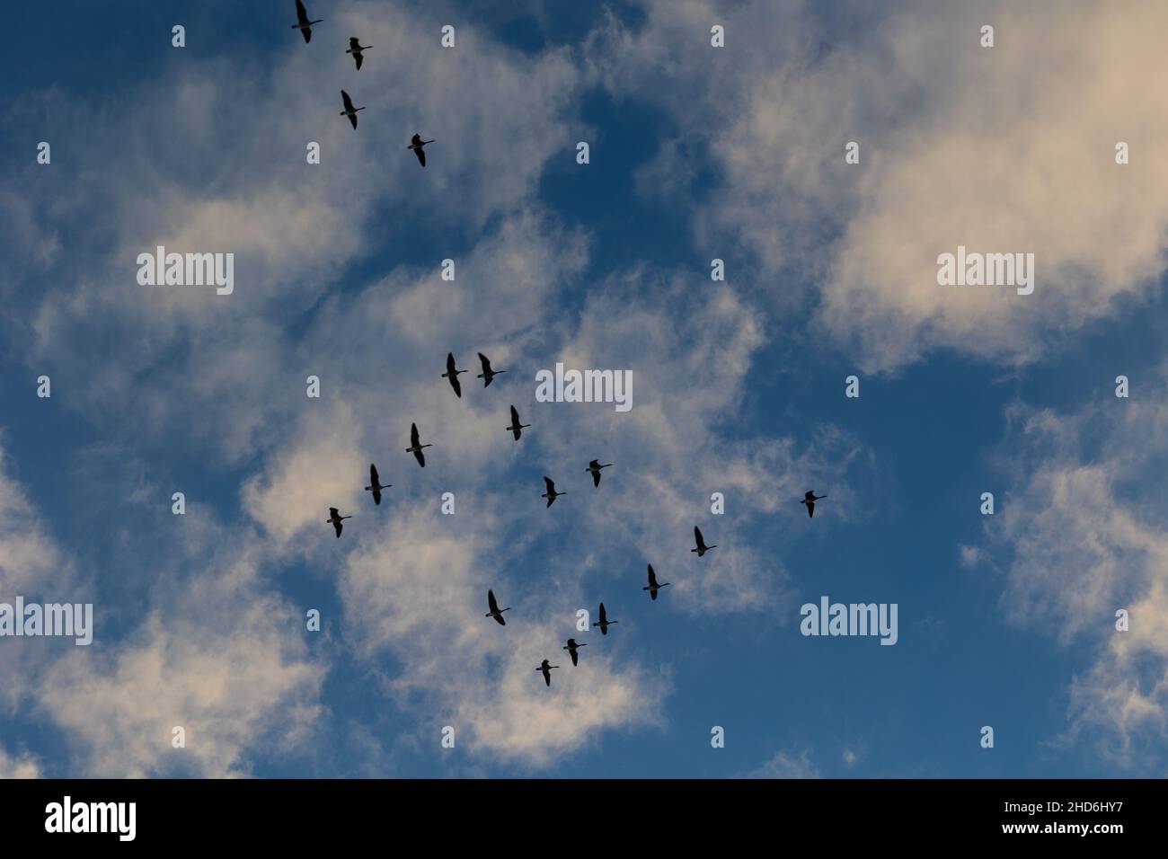 Flying birds eye view hi-res stock photography and images - Alamy