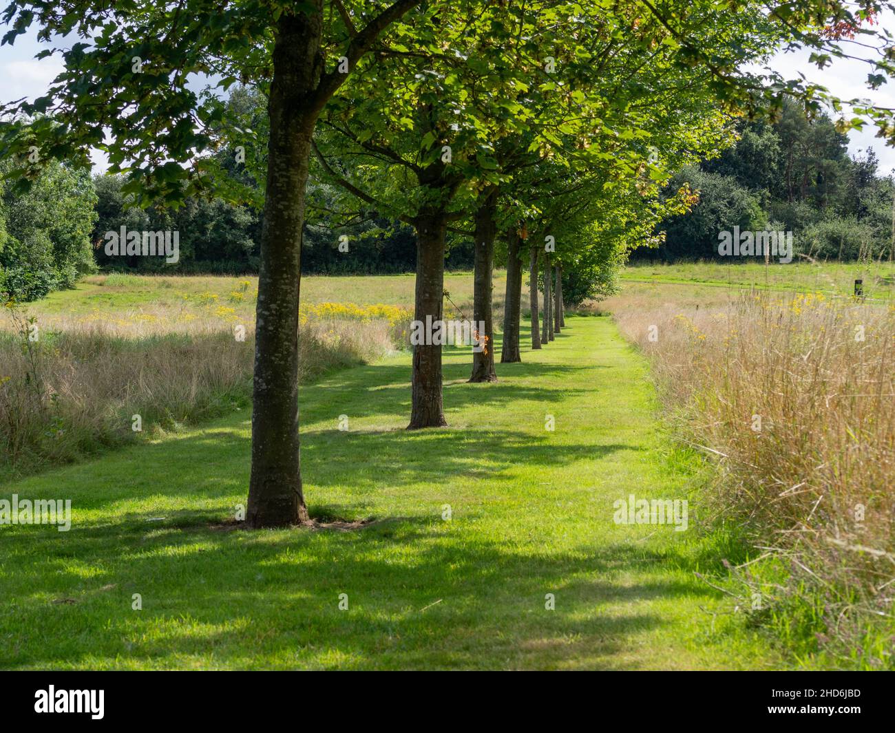Foxfield Country Park in Summer, Grange Park, Northampton, UK Stock ...