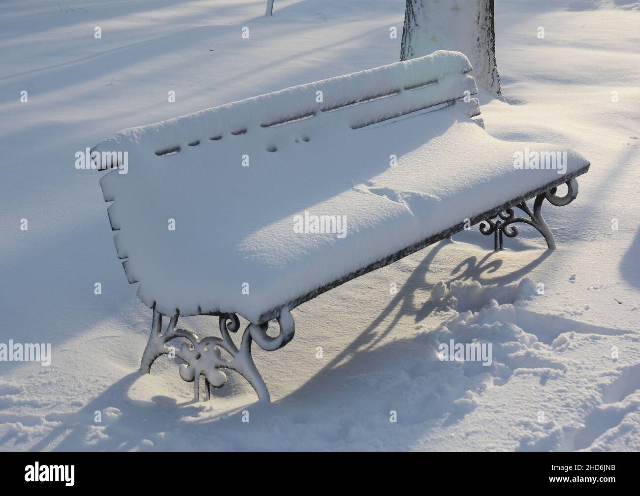 Winter frosty day in a park. An empty wrought iron bench in a park ...