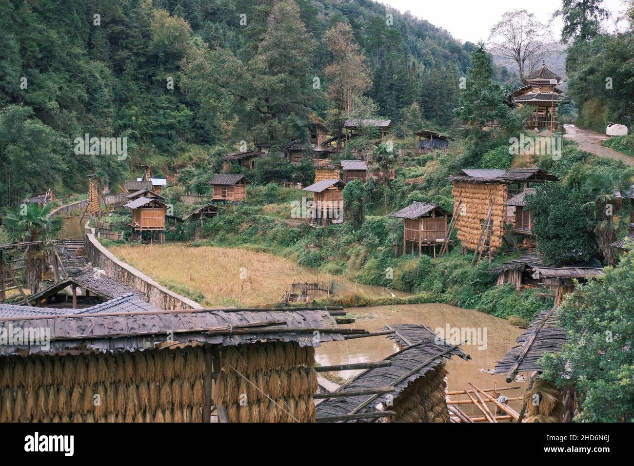 Chinese agricultural scenery hi-res stock photography and images - Alamy