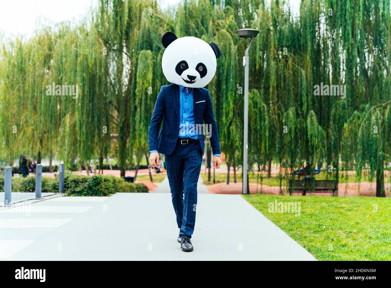 Man bear costume park hi-res stock photography and images - Alamy