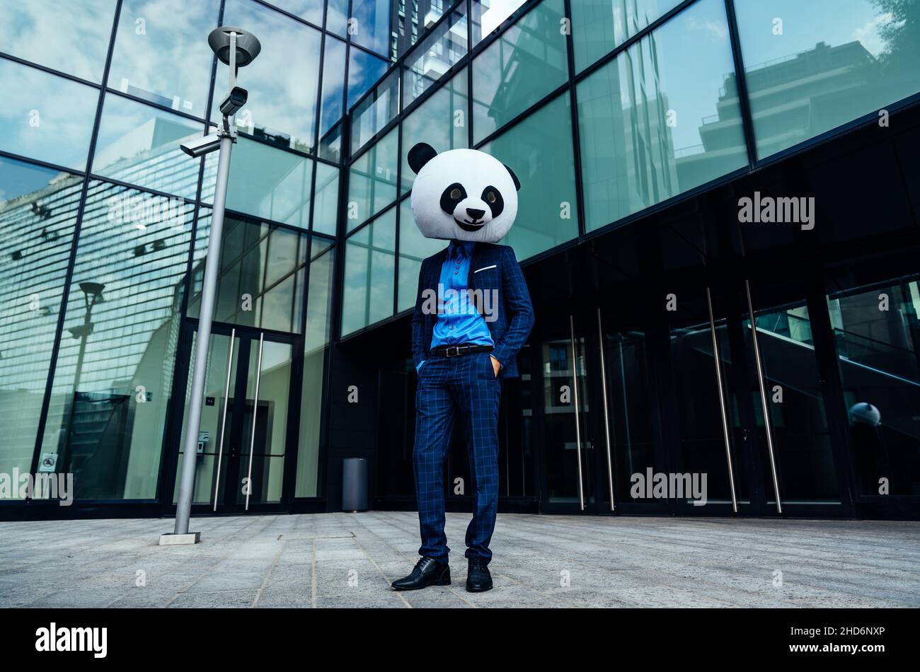 The giant panda story hi-res stock photography and images - Alamy