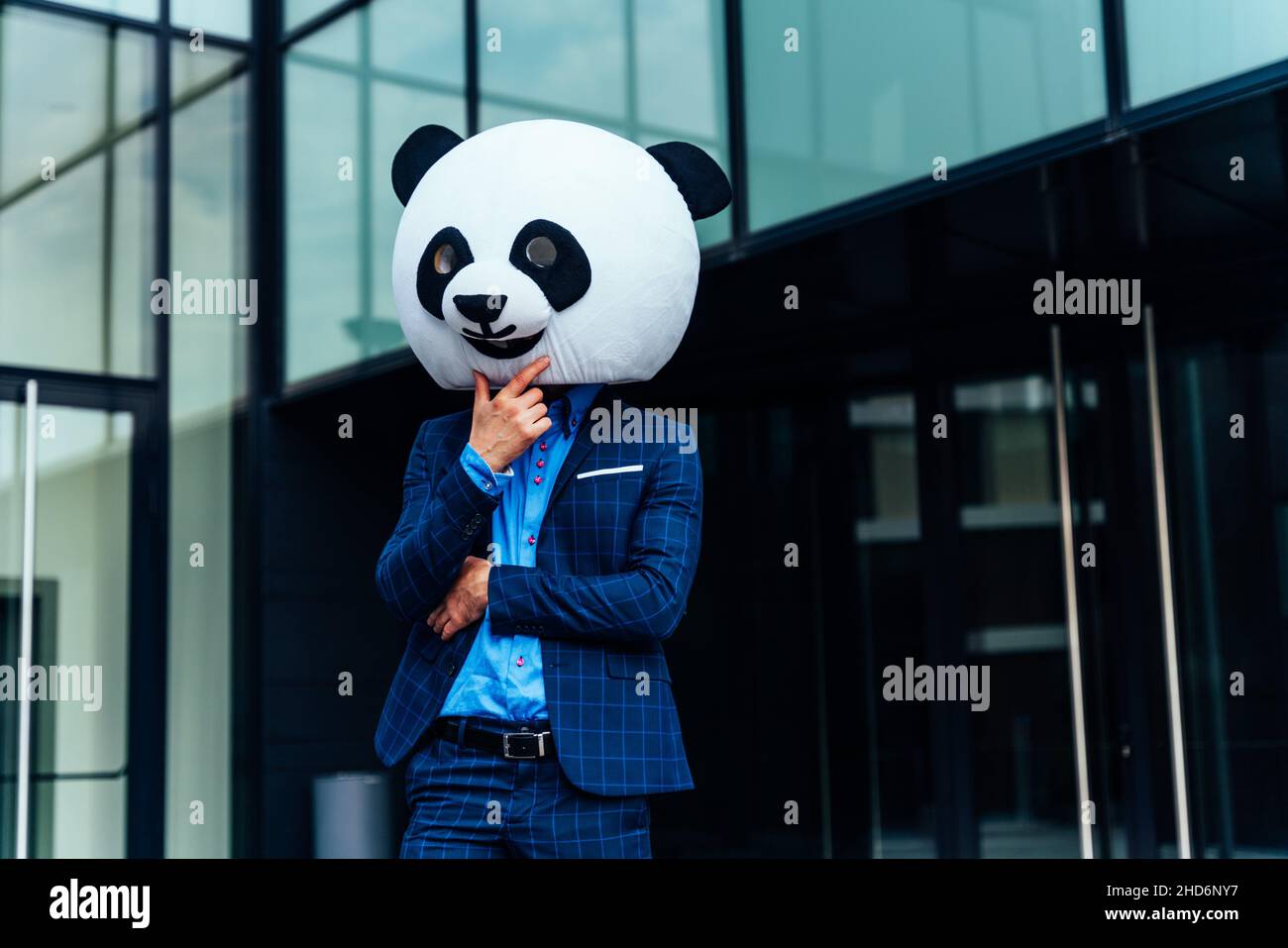 The giant panda story hi-res stock photography and images - Alamy