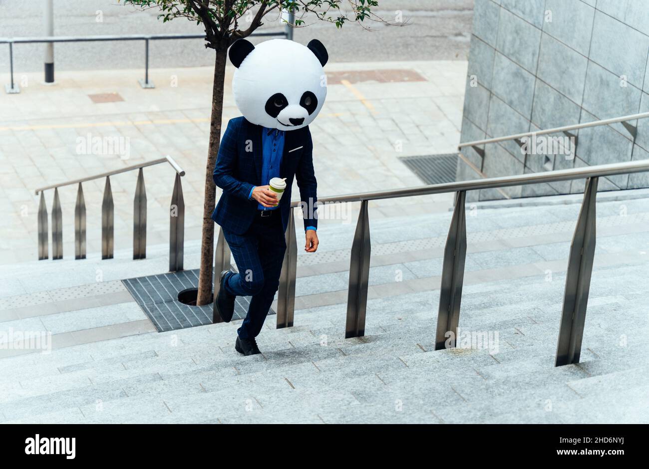 The giant panda story hi-res stock photography and images - Alamy