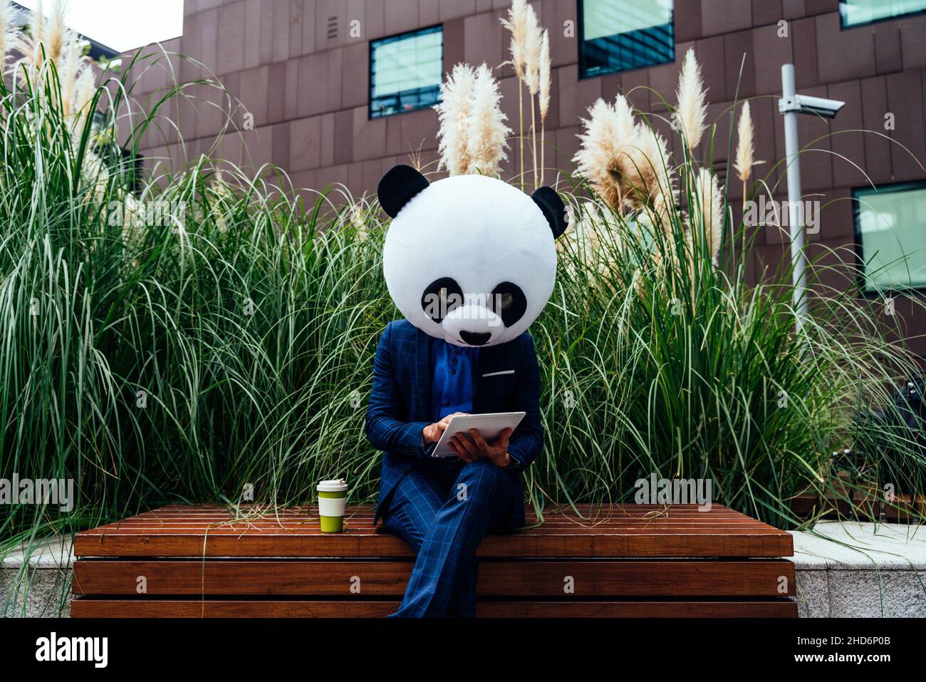 Business mascot hi-res stock photography and images - Alamy