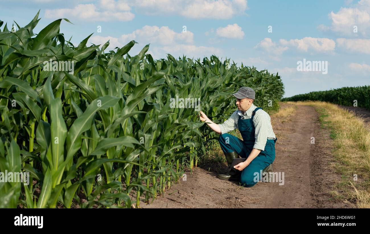 Plant inspection hi-res stock photography and images - Alamy