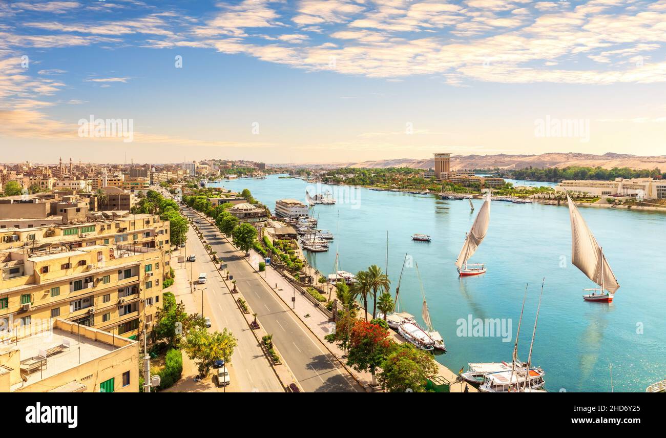 Aswan birds hi-res stock photography and images - Alamy