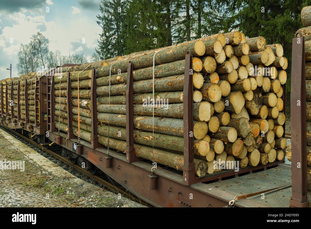 Tree wagons hi-res stock photography and images - Alamy