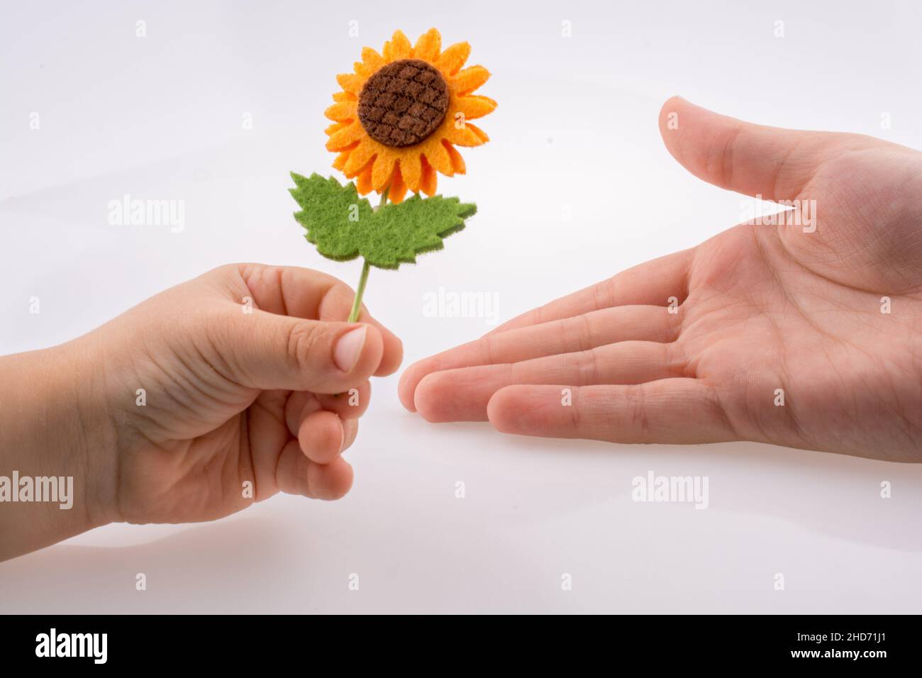 Hand giving flower hi-res stock photography and images - Alamy