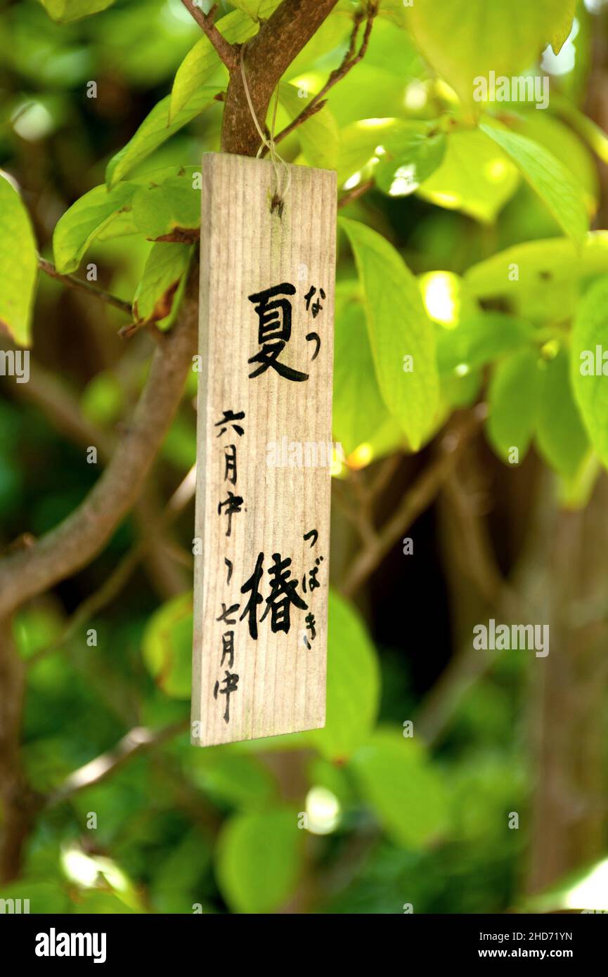 Japanese wish hi-res stock photography and images - Alamy