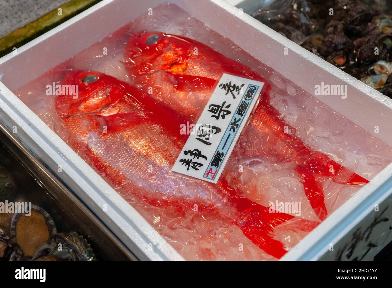 Inside the japanese fish market hi-res stock photography and images - Alamy