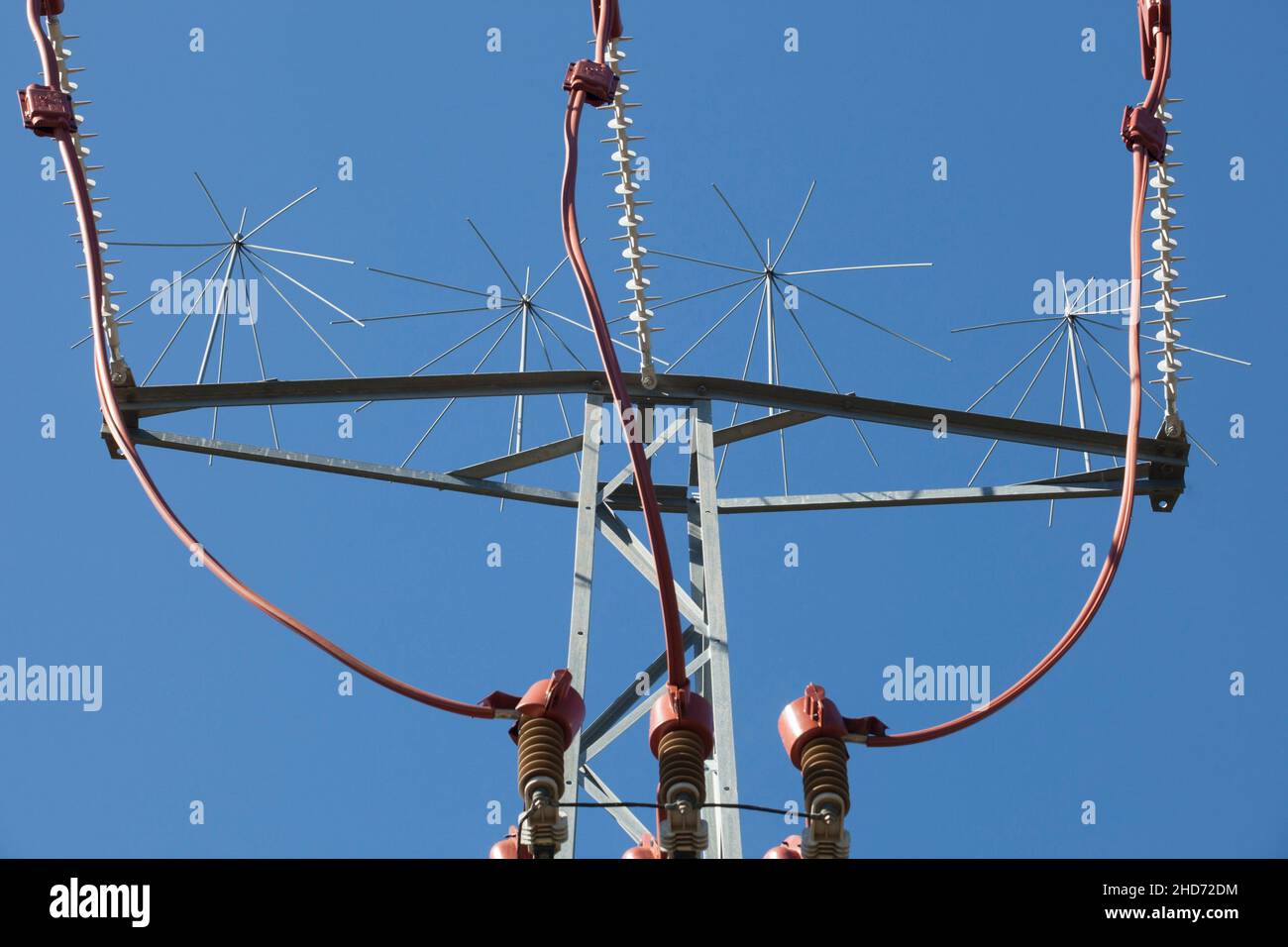 Steel power pylons equipped with bird spikes. Some species nest and ...
