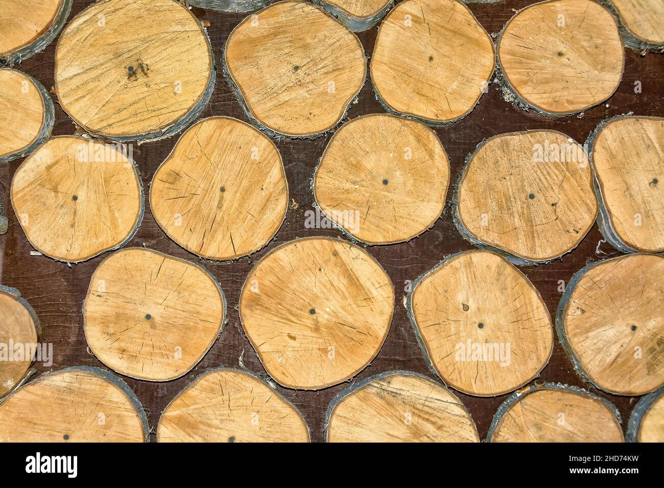Wall decoration with round wood cuts Stock Photo - Alamy