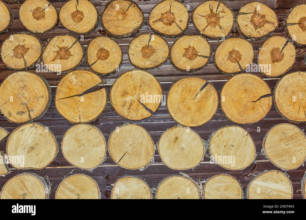 Wall decoration with round wood cuts Stock Photo - Alamy