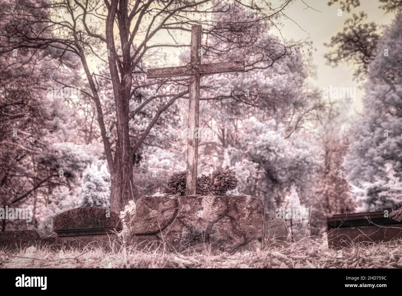 Christian Cross in Christian Graveyard cemetery and trees with snow ...