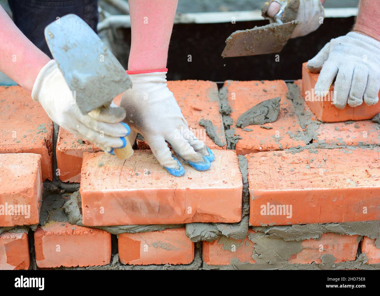 Two bricklayers are laying bricks of a brick wall, foundation using a ...