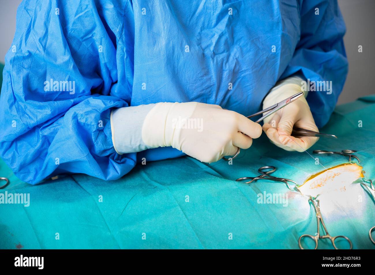 Vet with dog surgery hi-res stock photography and images - Alamy