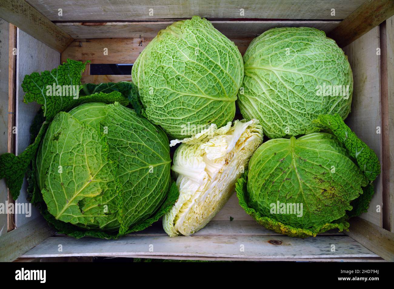 Organic green Savoy cabbage chou pomme at a French farmers market Stock ...