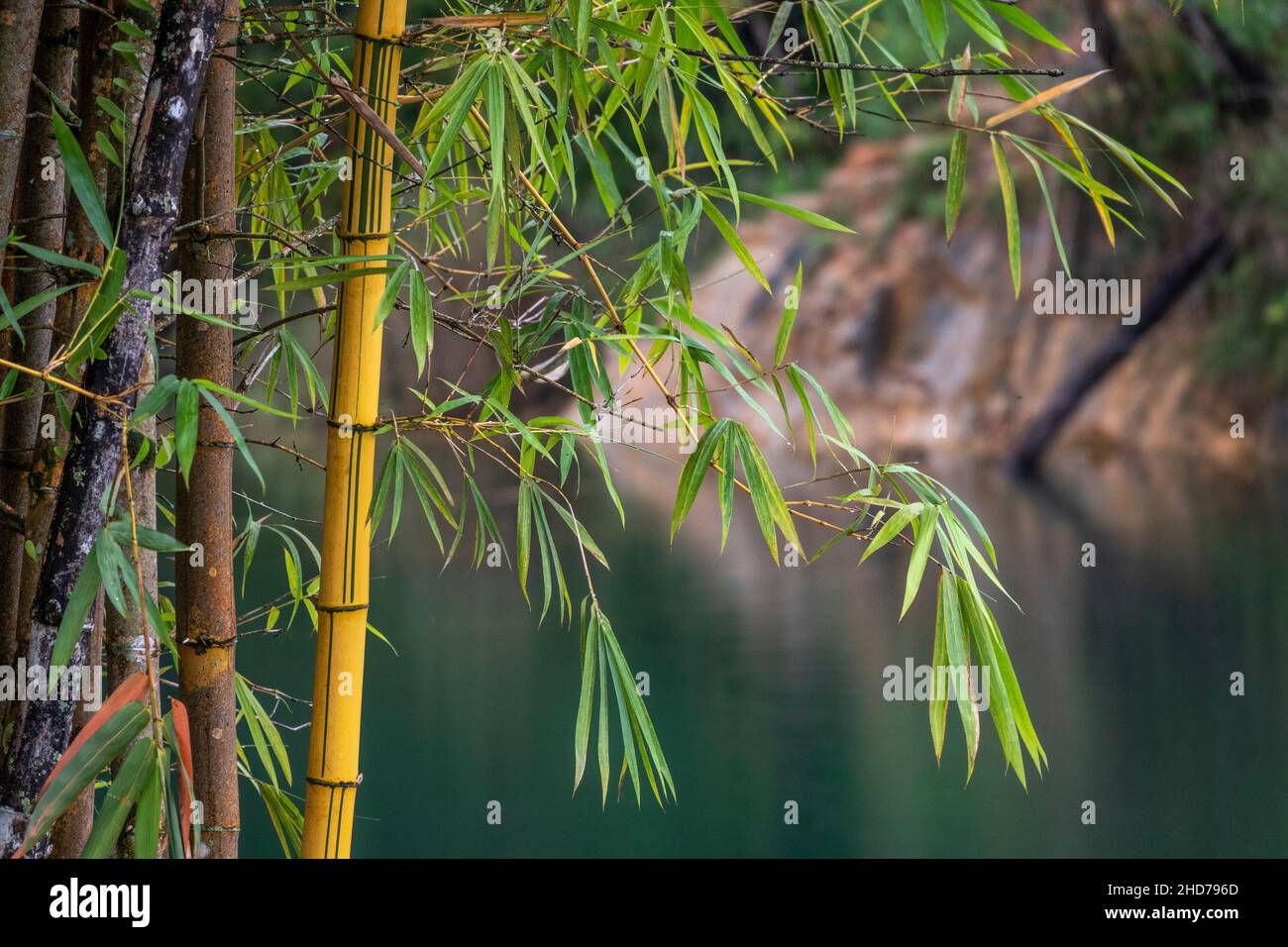 Tasik biru lake hi-res stock photography and images - Alamy