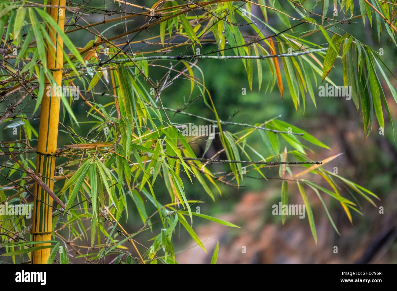 Tasik biru lake hi-res stock photography and images - Alamy