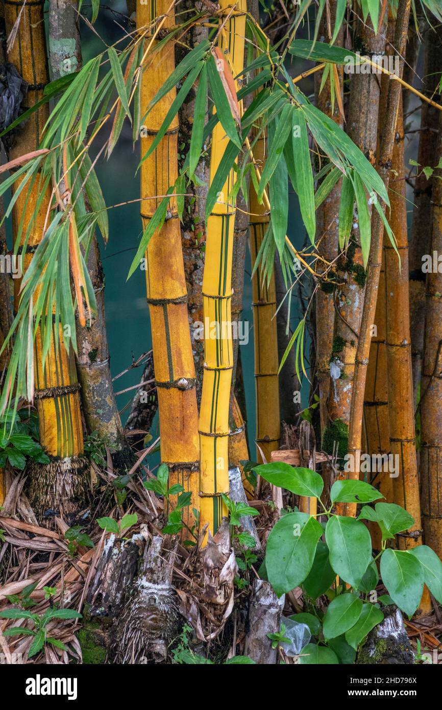 Tasik biru lake hi-res stock photography and images - Alamy