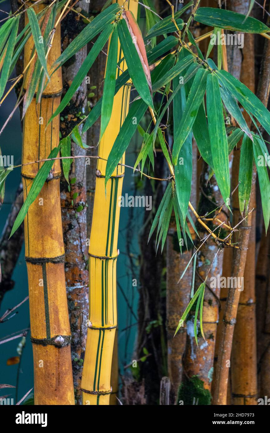 Tasik biru lake hi-res stock photography and images - Alamy