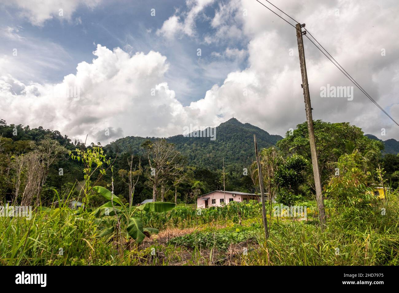 View of Gunung Serapi from Kampung Sungai Tengah, Matang, Sarawak, East ...