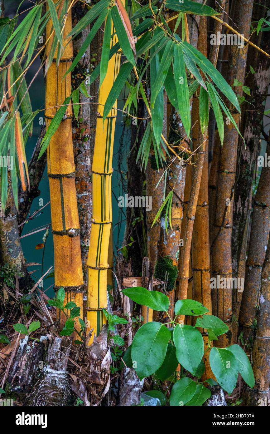 Tasik biru lake hi-res stock photography and images - Alamy