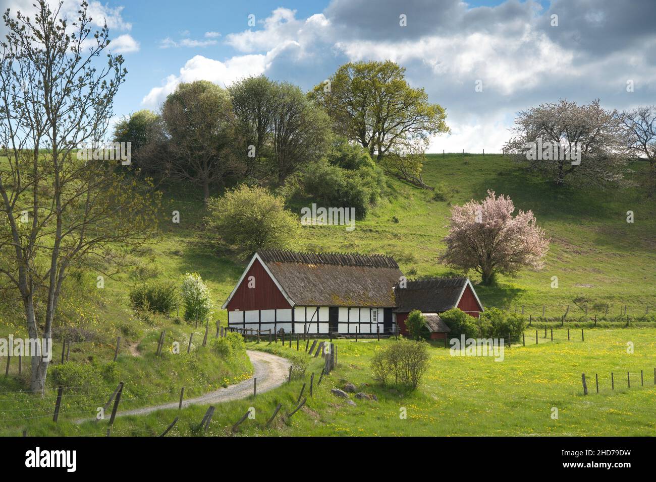 Sweden spring hi-res stock photography and images - Alamy