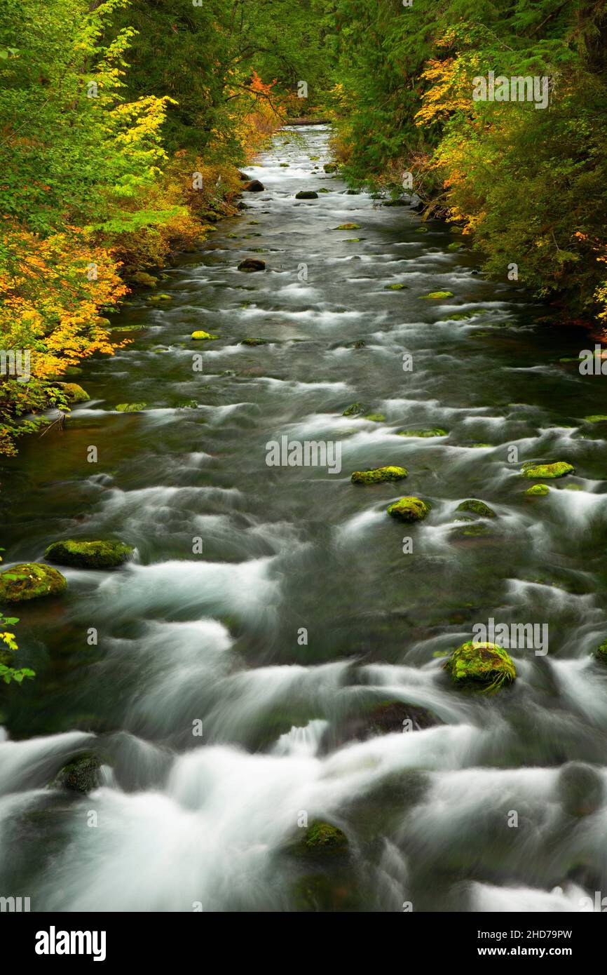 Santiam mckenzie pass scenic byway hi-res stock photography and images ...