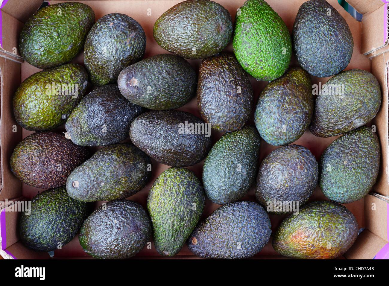 Avocados box hi-res stock photography and images - Alamy