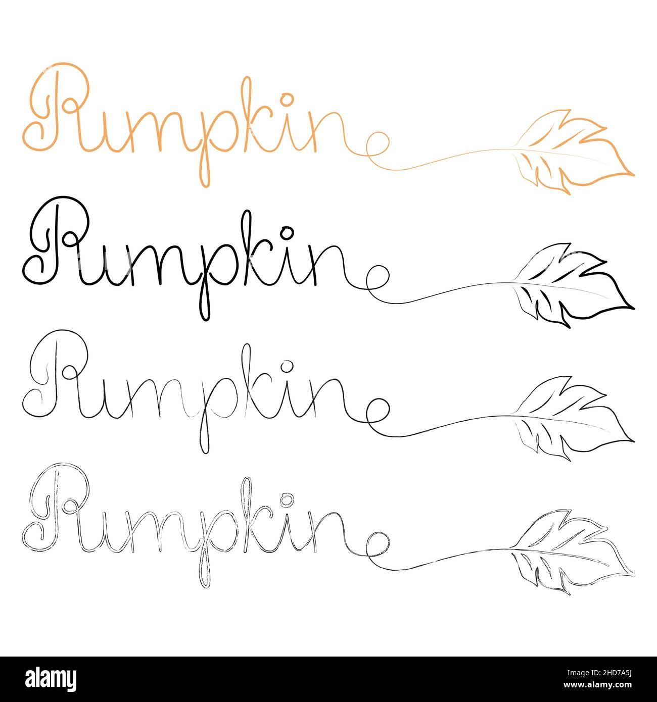 Lettering handdrawn word pumpkin set vector illustration. Autumn ...